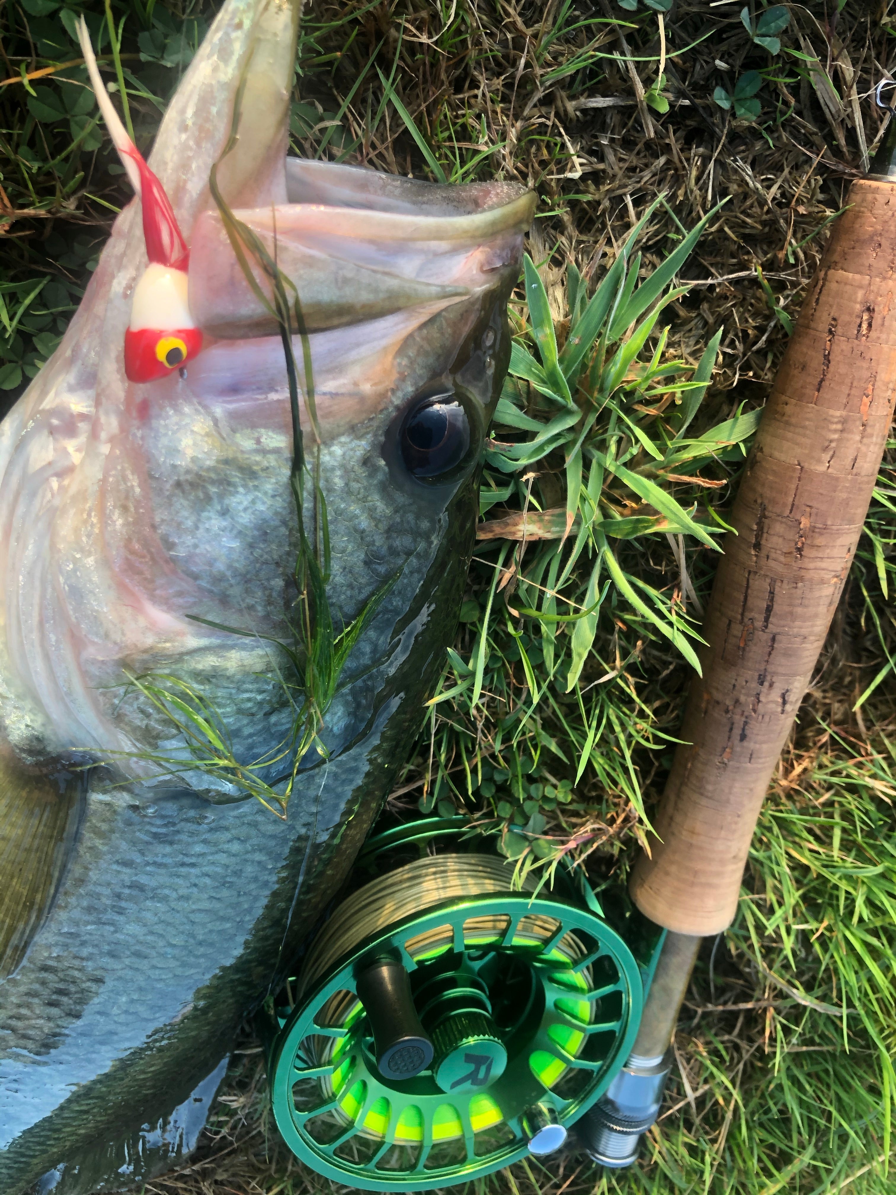 Bass Kit – SendIt Sailing