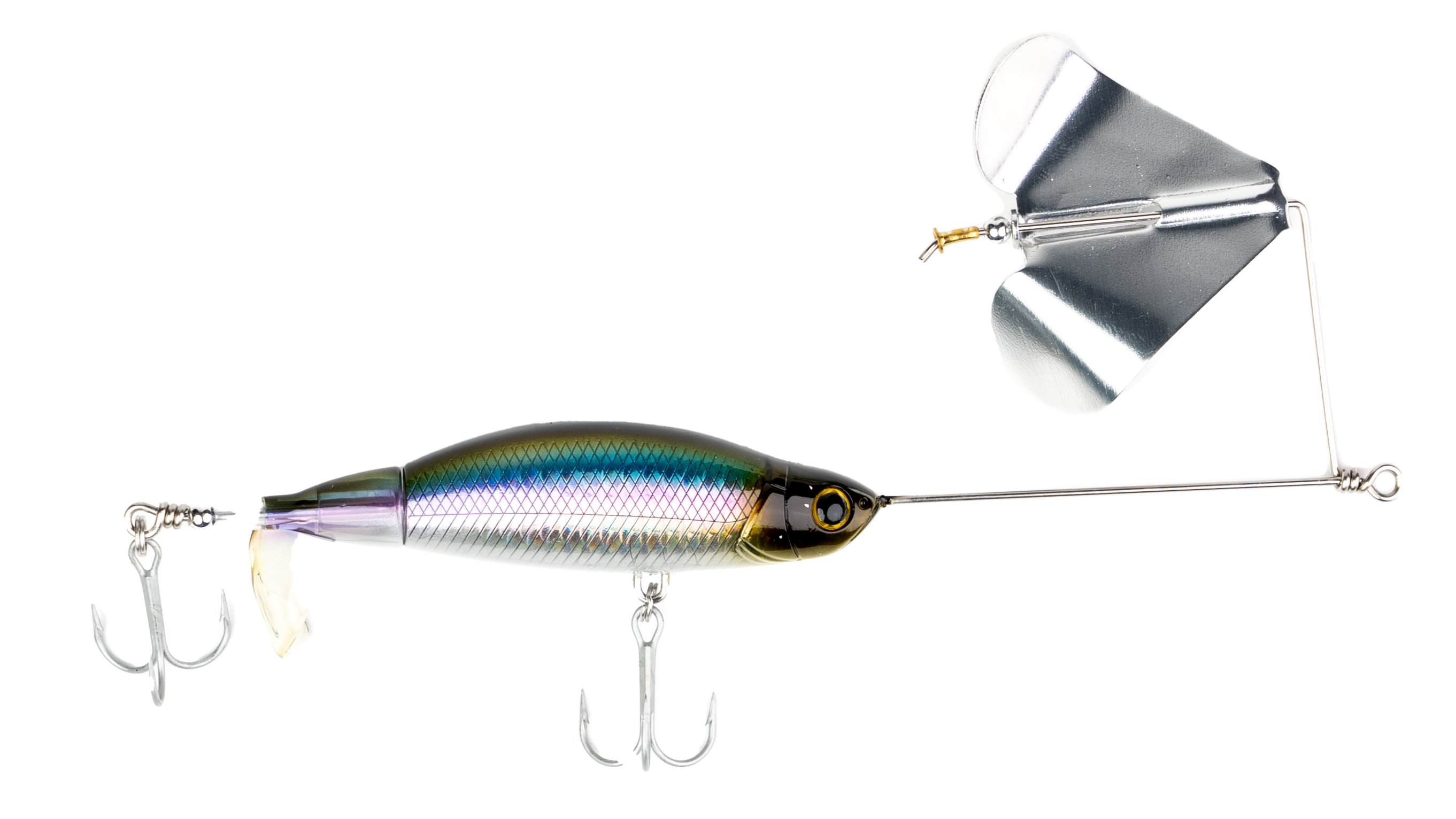 Proper Buzz – SendIt Sailing