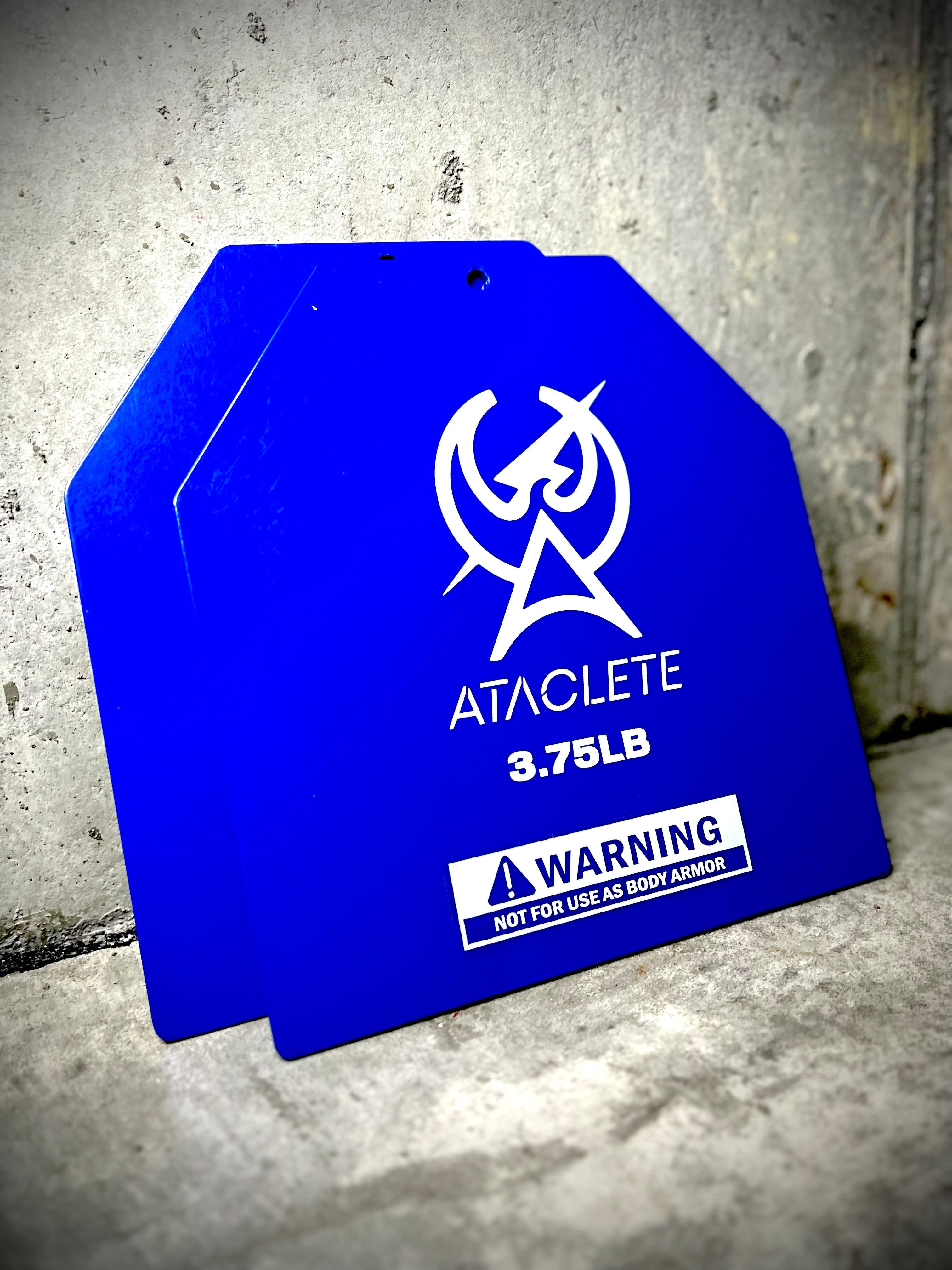 3.75lb Weight Plate Pair – SendIt Sailing