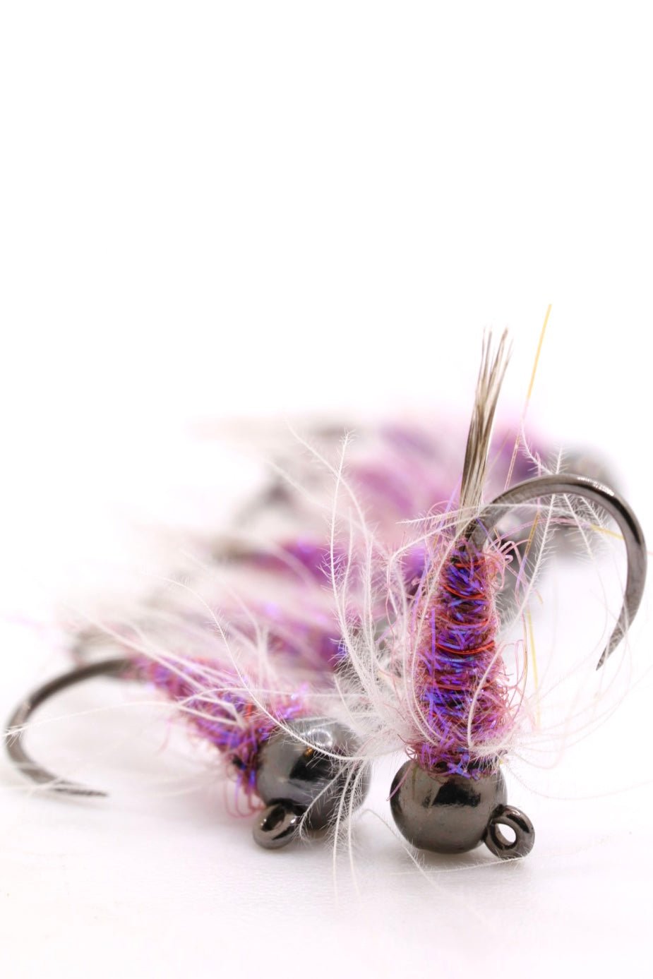 Purple Duracell – SendIt Sailing